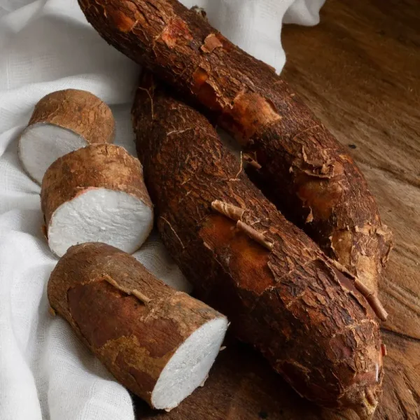 Yuca – Andes Export Corp